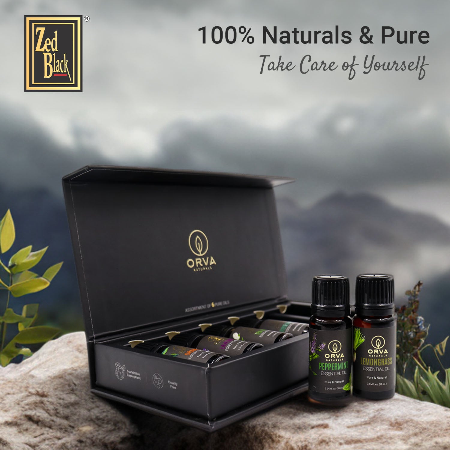 ORVA Pure and Natural Essential Oil combo of 6 - Each 10 ml (Peppermin – Zed Black